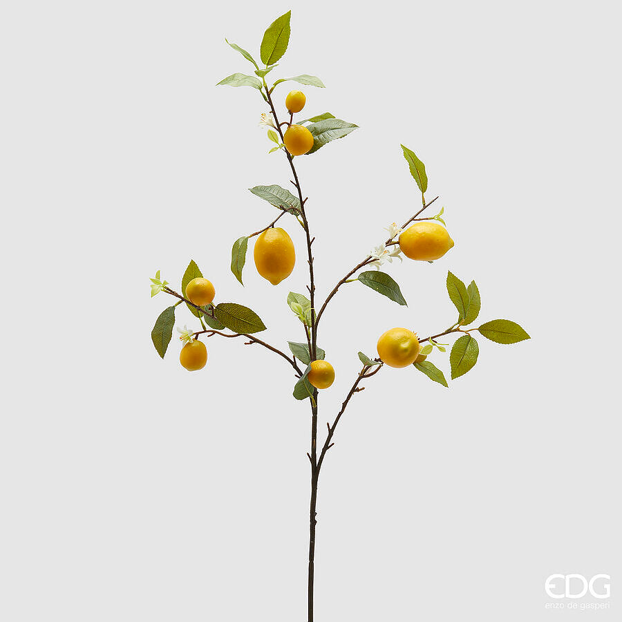 EDG Enzo De Gasperi Ramo Limone Artificiale con Foglie e Frutta H 105 ...
