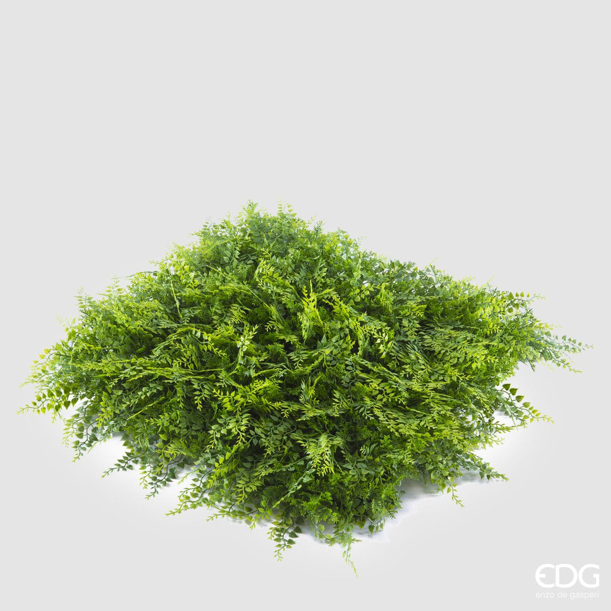 EDG Enzo De Gasperi Felce Siepe 1 x 1 Mt Colore Verde – L'Arcolaio